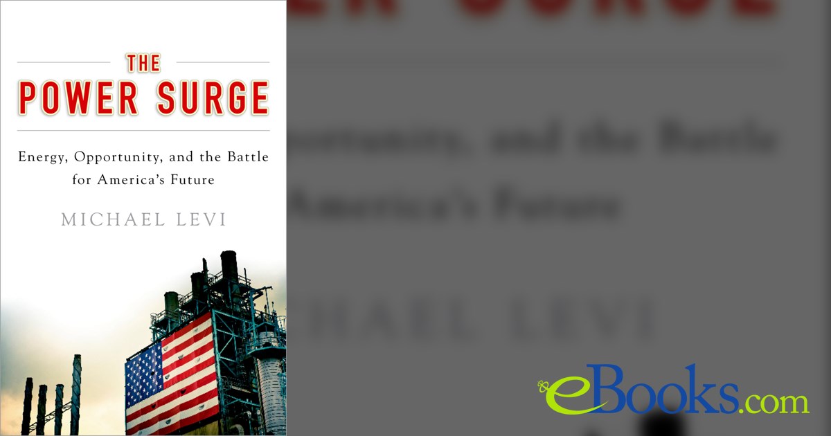 The Power Surge by Michael Levi (ebook)