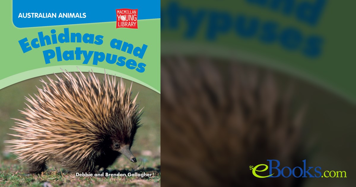Australian Animals: Echidnas and Platypuses