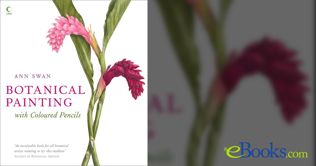Botanical Painting with Coloured Pencils by Ann Swan (ebook)