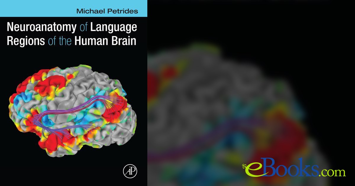 Neuroanatomy of Language Regions of the Human Brain