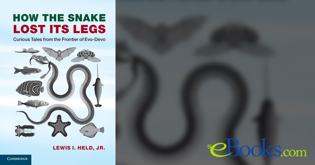 How the Snake Lost its Legs by Held, Jr, Lewis I. (ebook)