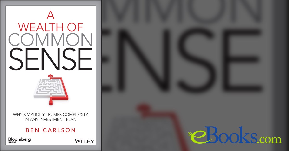 A Wealth of Common Sense by Ben Carlson (ebook)