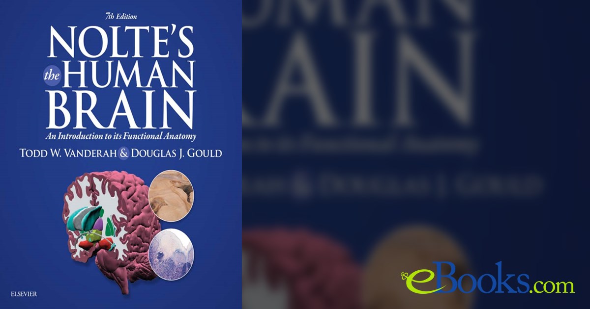 Nolte's The Human Brain E-Book (7th ed.)