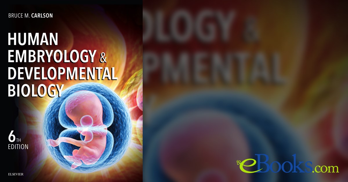 Human Embryology and Developmental Biology (6th ed.)