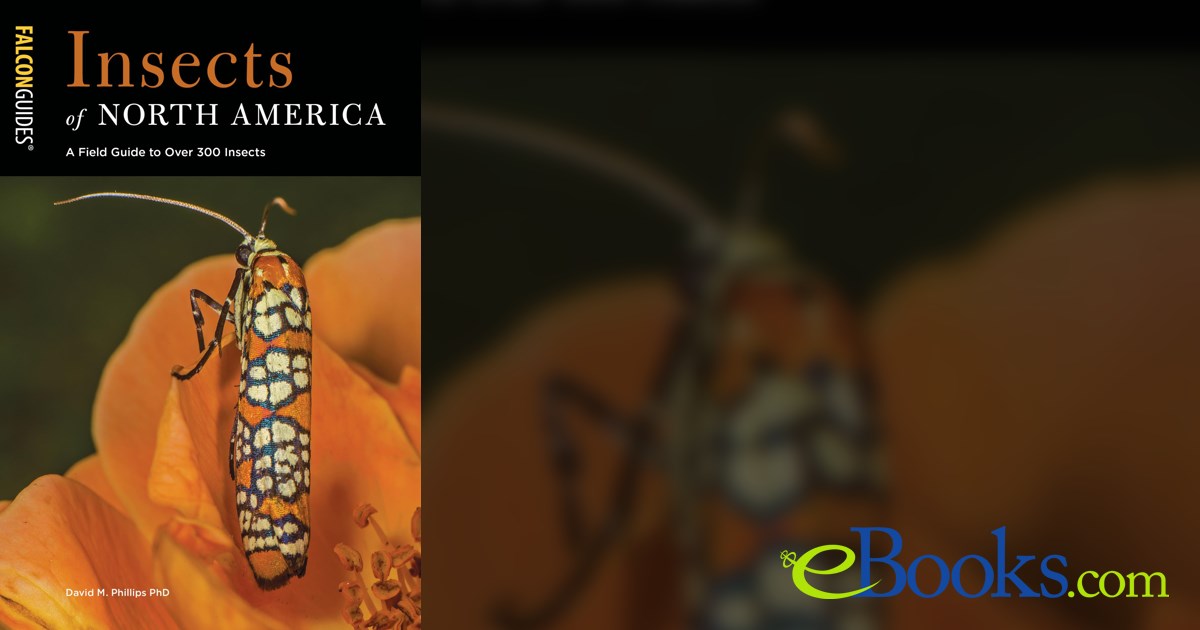 Insects of North America by David M. Phillips (ebook)