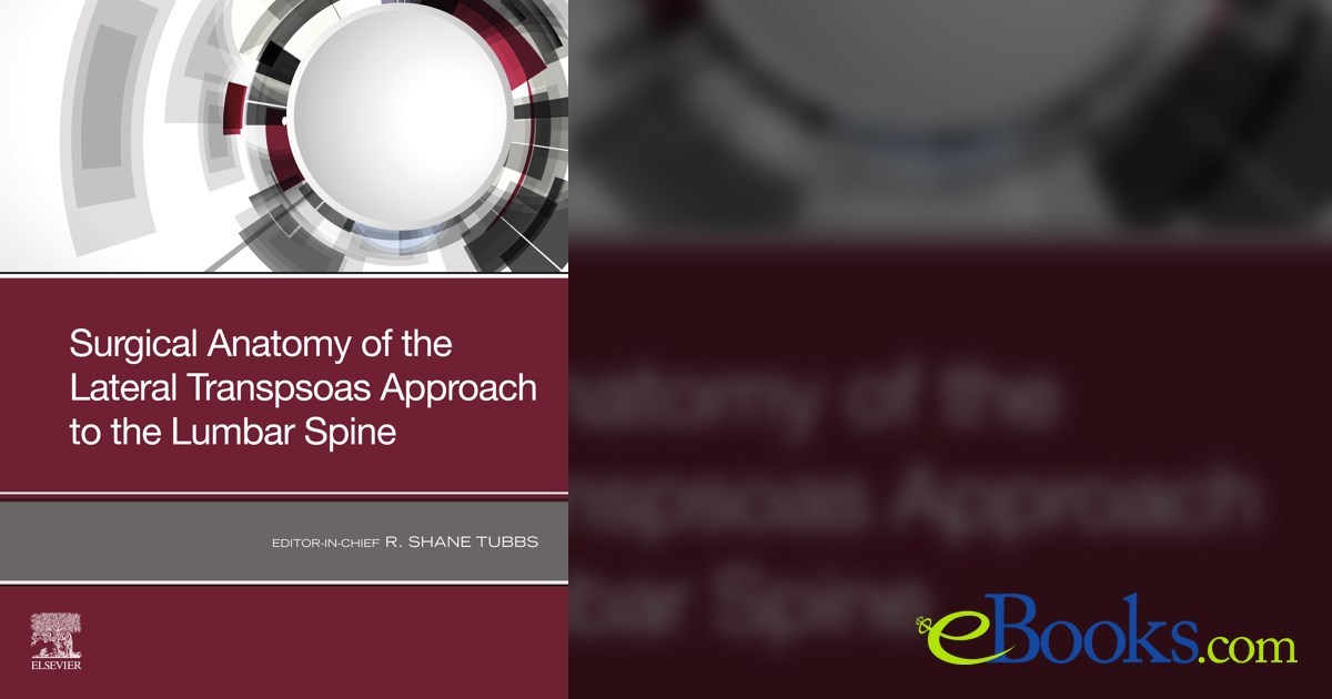 Surgical anatomy of the lateral transpsoas approach to the lumbar spine ...