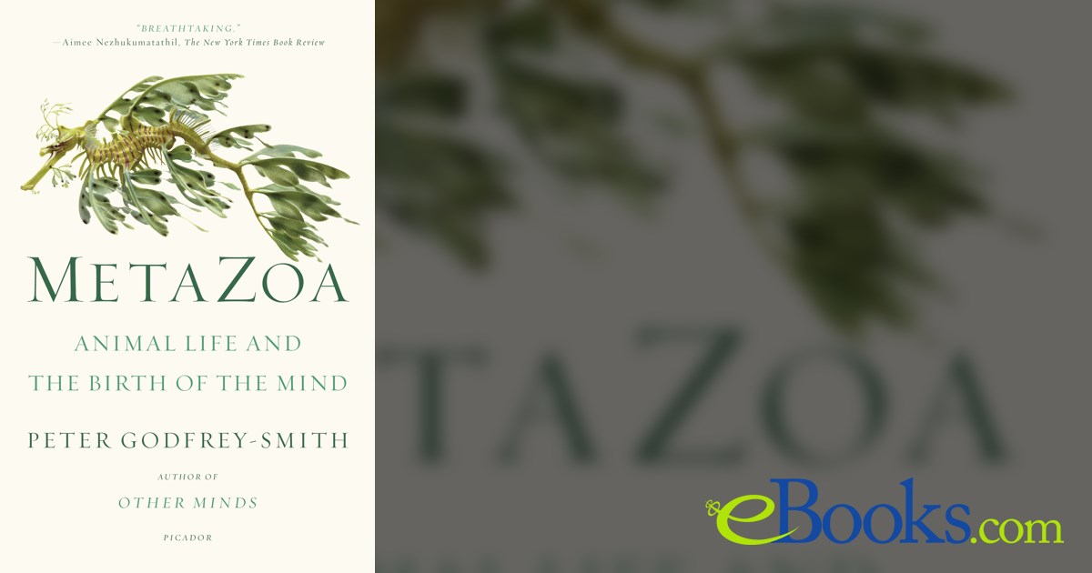 Metazoa by Peter Godfrey-Smith (ebook)