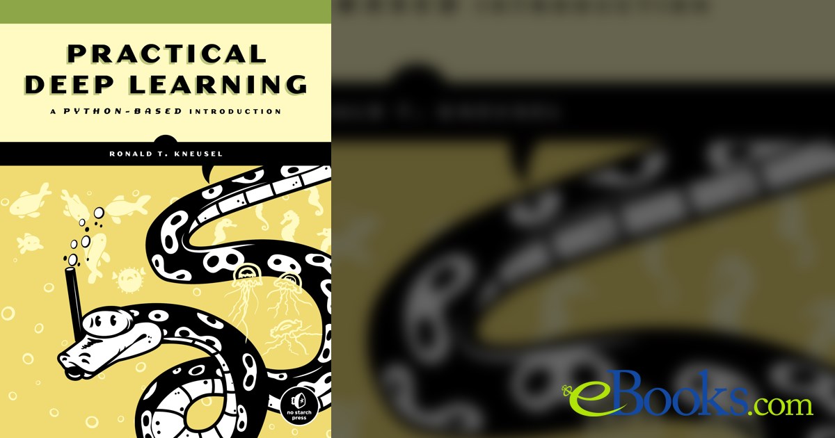 Practical Deep Learning by Ronald T. Kneusel (ebook)