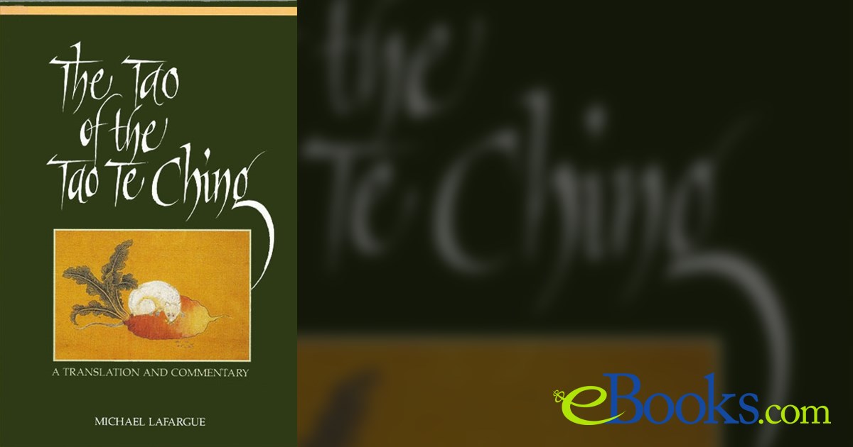 The Tao of the Tao Te Ching by Michael LaFargue (ebook)
