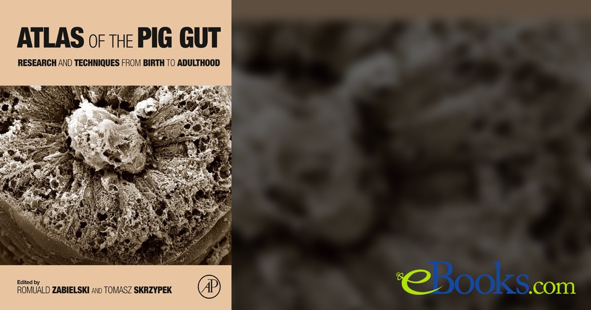 Atlas of the Pig Gut by Romuald Zabielski (ebook)