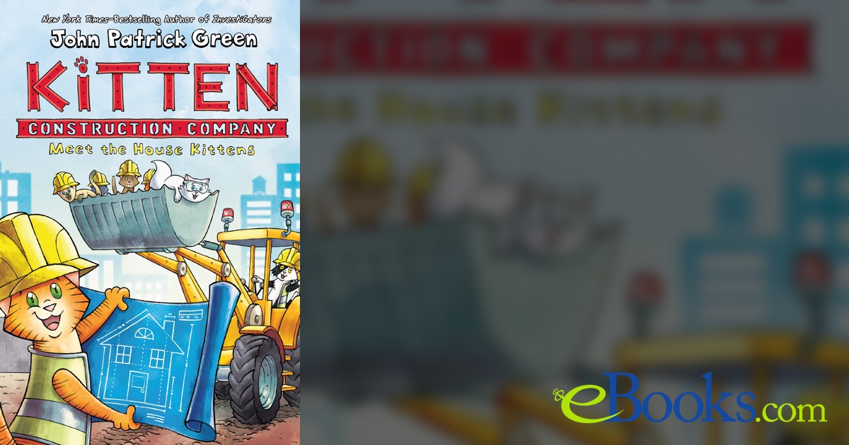 Kitten Construction Company: Meet the House Kittens