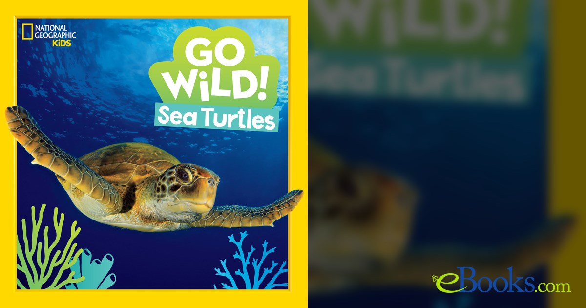 Go Wild! Sea Turtles (National Geographic Kids)