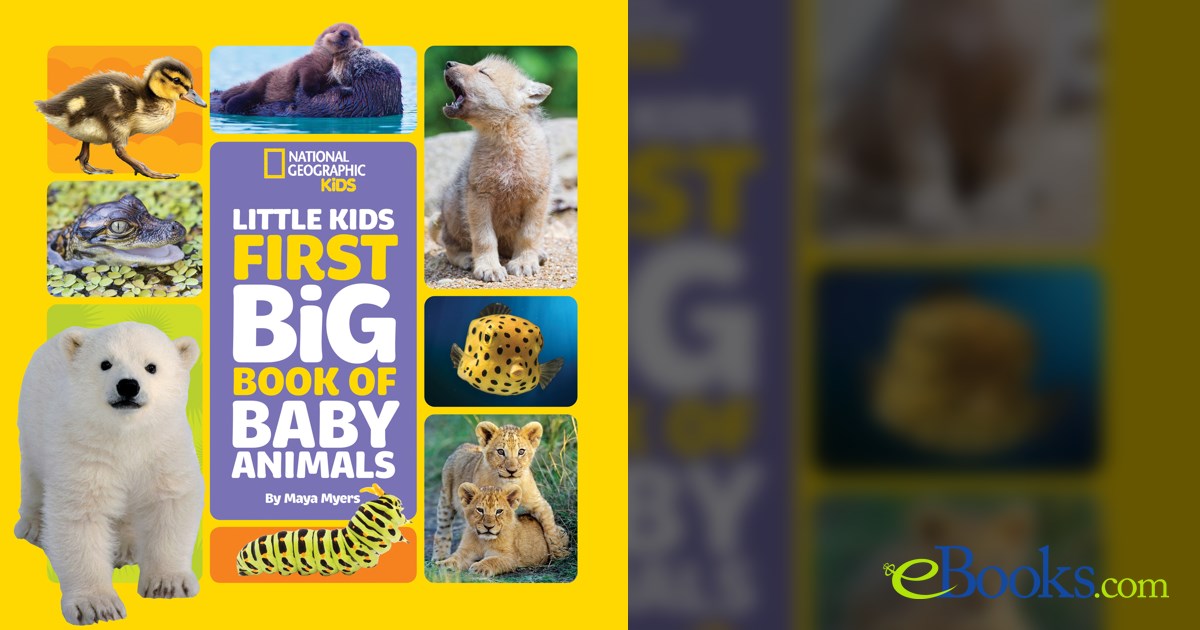 Little Kids First Big Book of Baby Animals (Little Kids First Big Books)