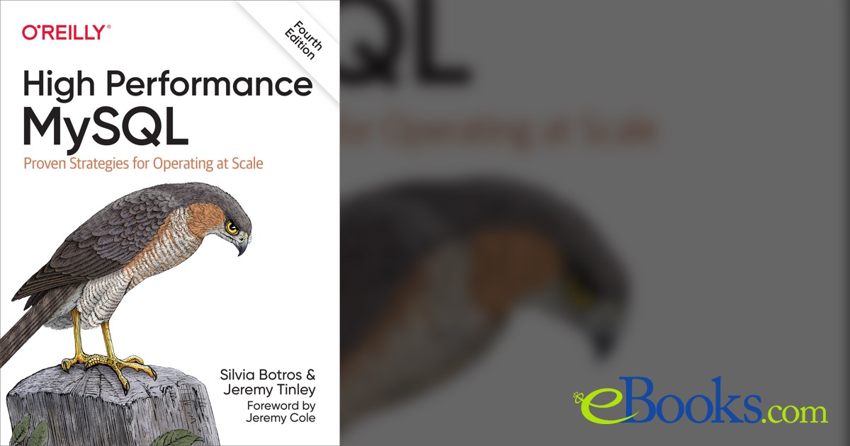 High Performance MySQL (4th ed.) by Silvia Botros (ebook)