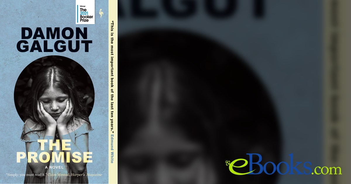 The Promise by Damon Galgut (ebook)