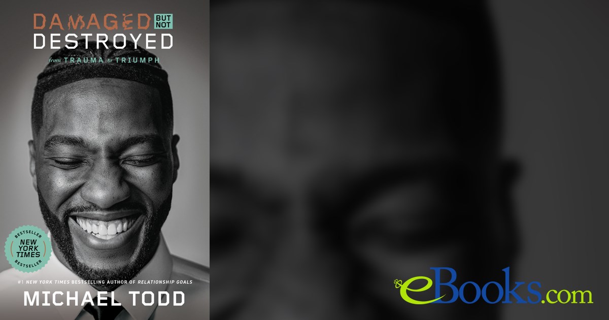 Damaged but Not Destroyed by Michael Todd (ebook)