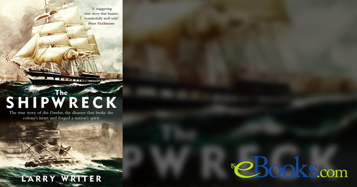 The Shipwreck by Larry Writer (ebook)