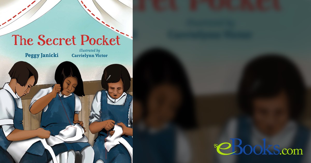 The Secret Pocket by Peggy Janicki (ebook)