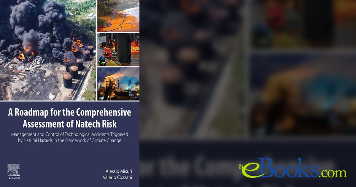 A Roadmap for the Comprehensive Assessment of Natech Risk