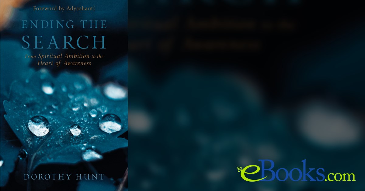 Ending the Search by Dorothy Hunt (ebook)