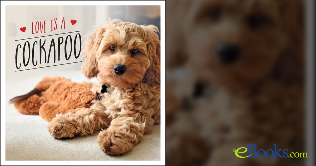 Love is a Cockapoo by Charlie Ellis (ebook)