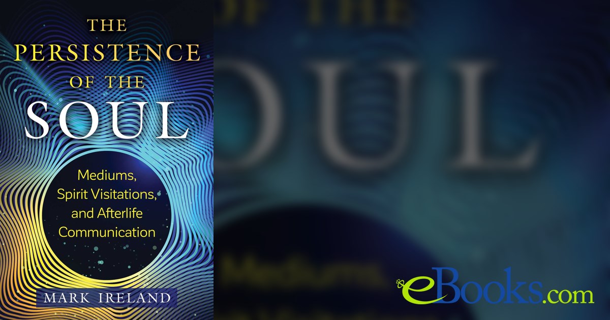 The Persistence of the Soul (2nd ed.) by Mark Ireland (ebook)