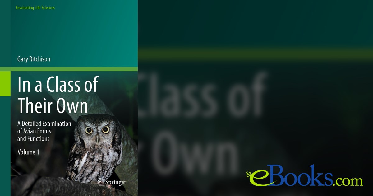 In a Class of Their Own by Gary Ritchison (ebook)
