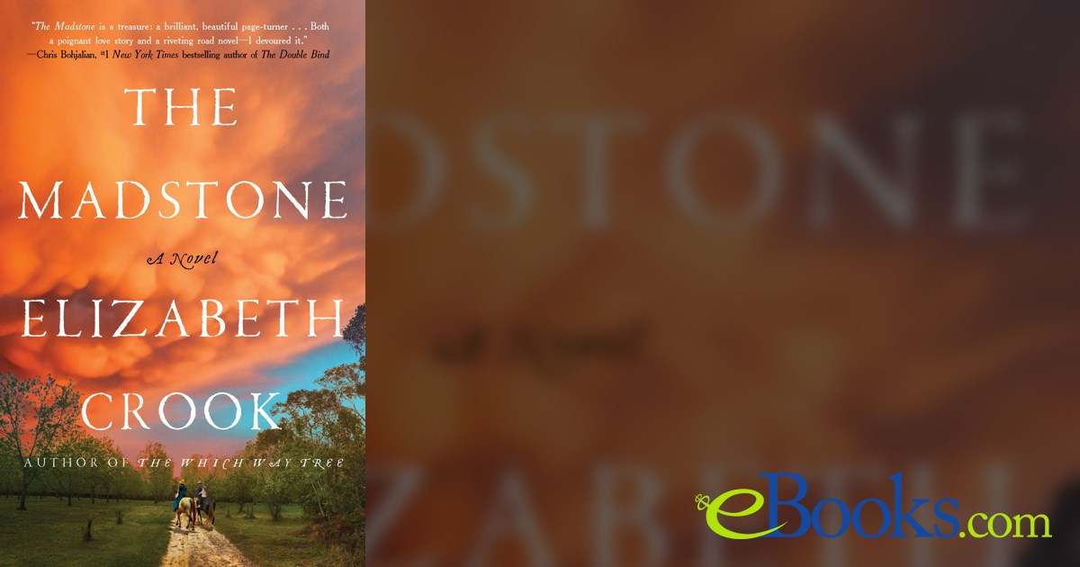 The Madstone by Elizabeth Crook (ebook)