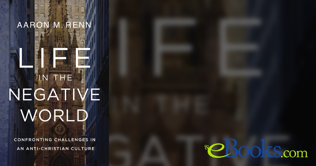 Life in the Negative World by Aaron M. Renn (ebook)
