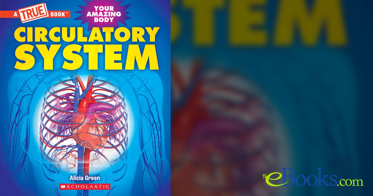 Circulatory System (A True Book: Your Amazing Body)