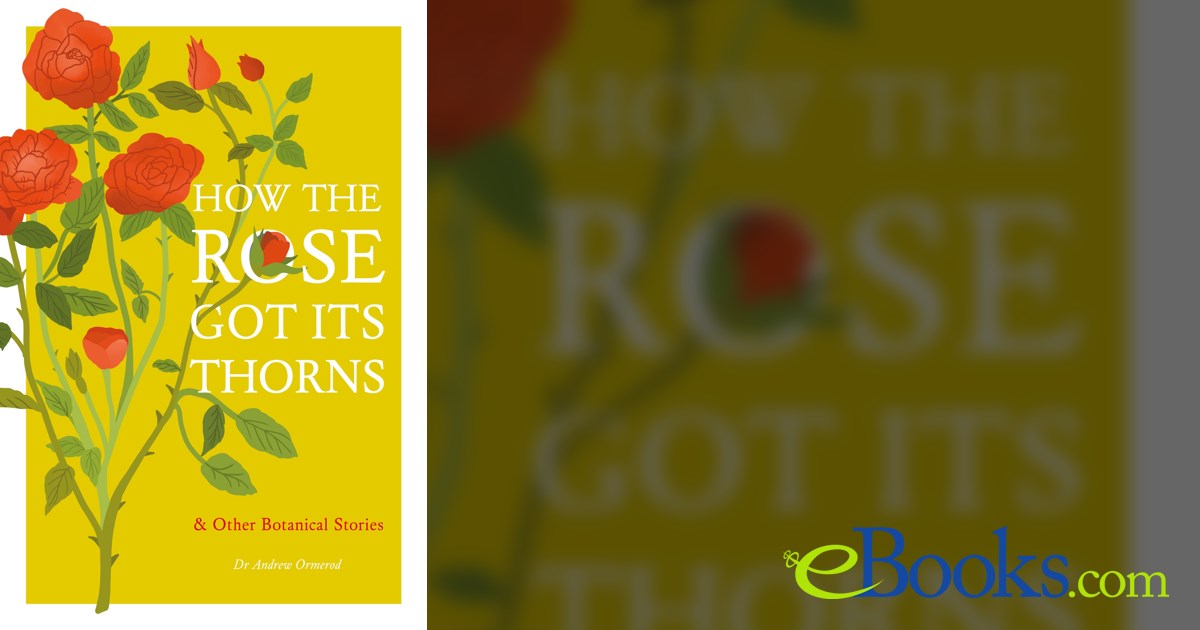 How the Rose Got Its Thorns by Andrew Ormerod (ebook)