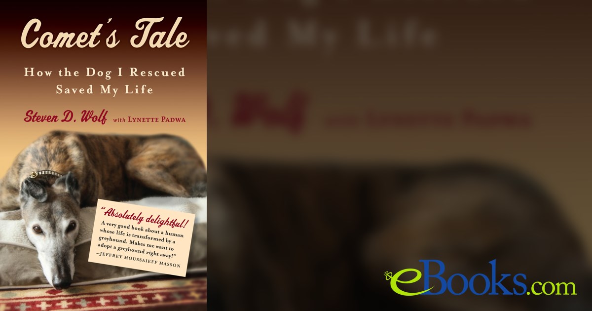 Comet's Tale by Steven Wolf (ebook)