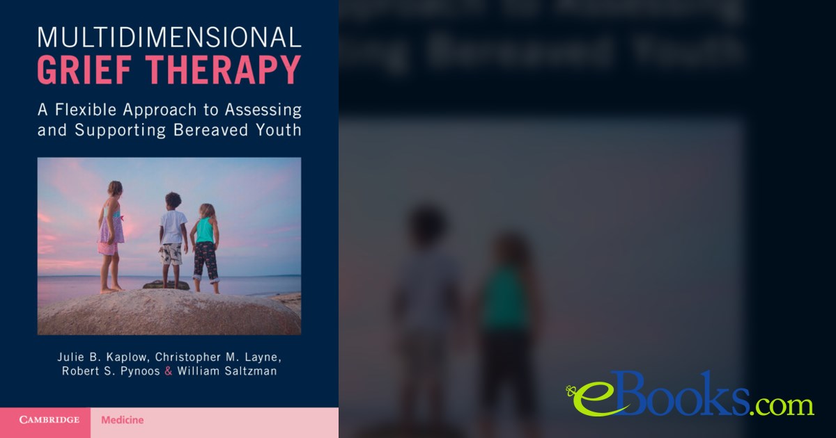 Multidimensional Grief Therapy by Julie B. Kaplow (ebook)