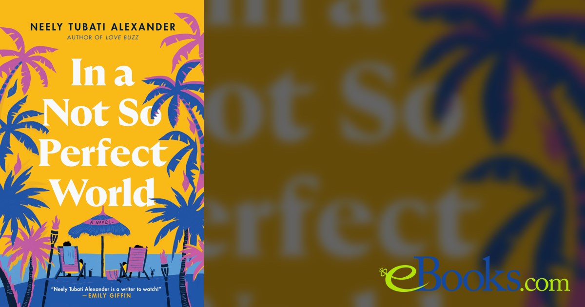 In a Not So Perfect World by Neely Tubati Alexander (ebook)