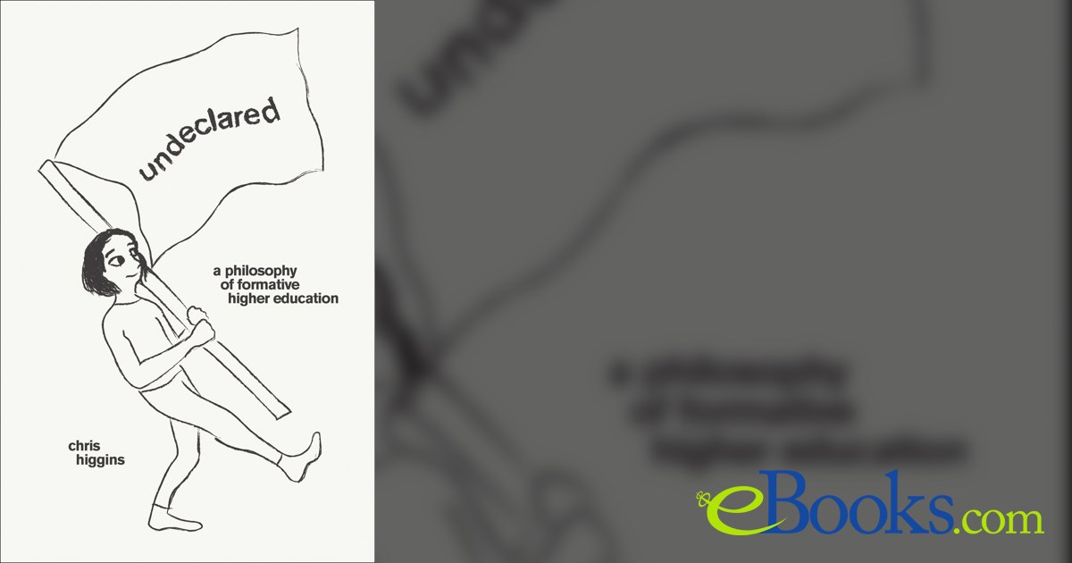 Undeclared by Chris Higgins (ebook)