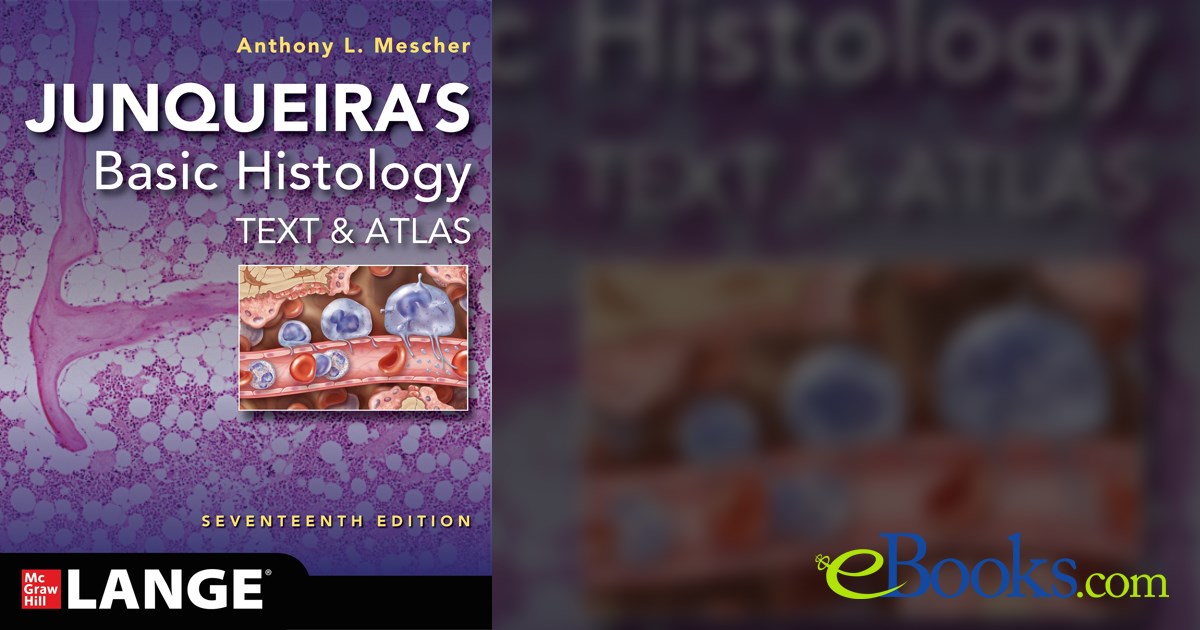 Junqueira's Basic Histology: Text and Atlas, Seventeenth Edition