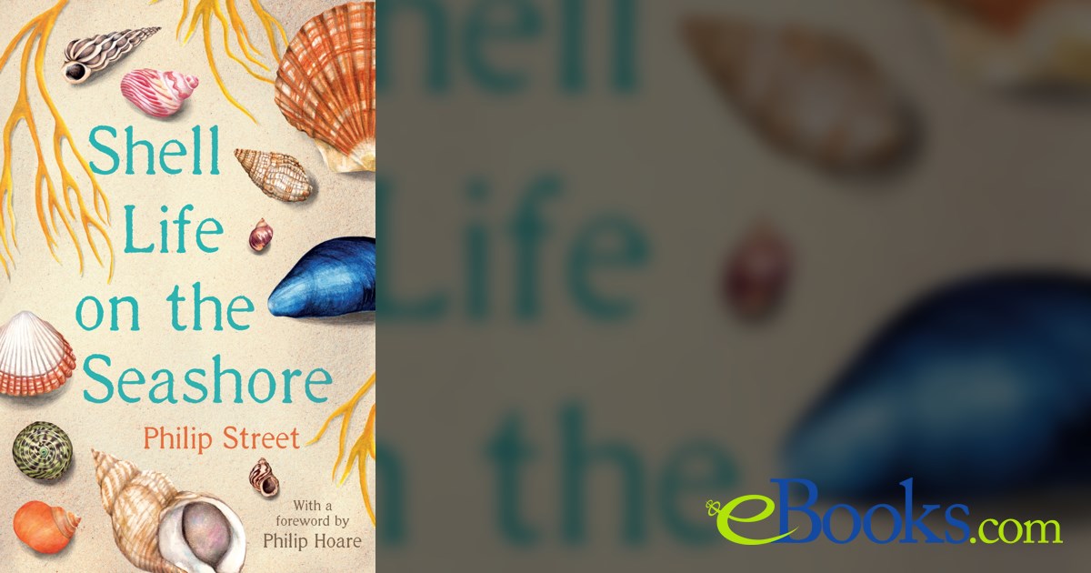 Shell Life on the Seashore by Philip Street (ebook)