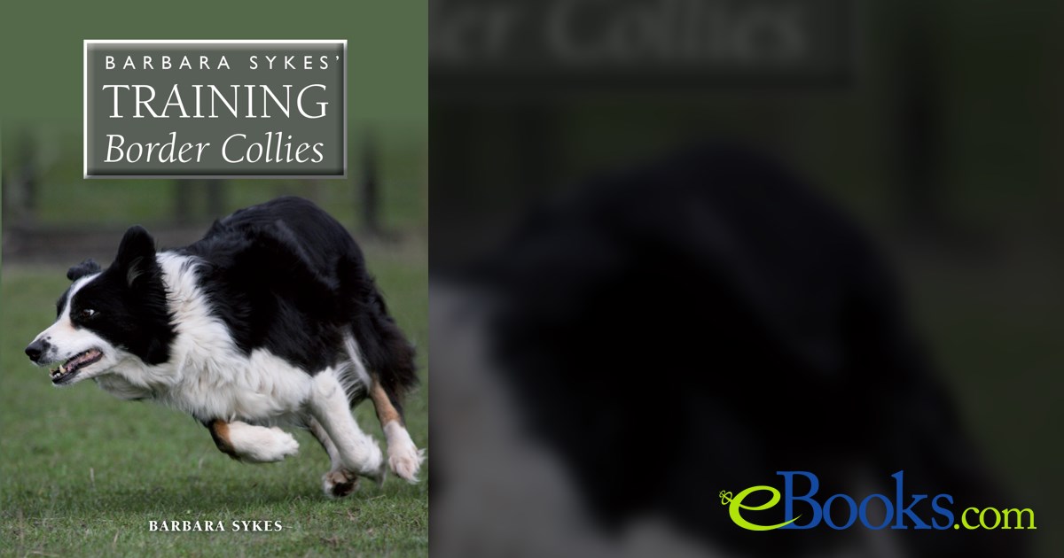 Barbara Sykes' Training Border Collies by Barbara Sykes (ebook)