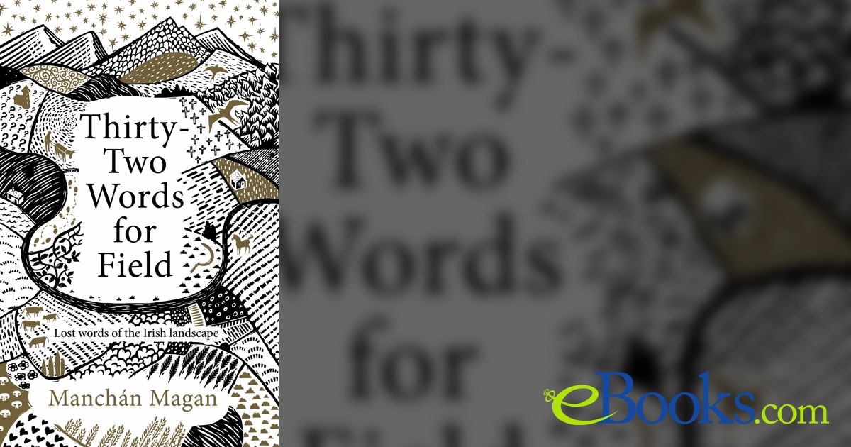 Thirty-Two Words for Field by Manchán Magan (ebook)