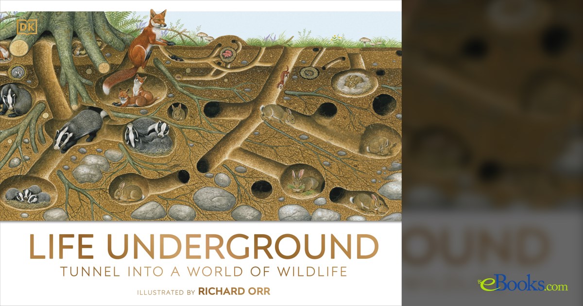 Life Underground by DK (ebook)