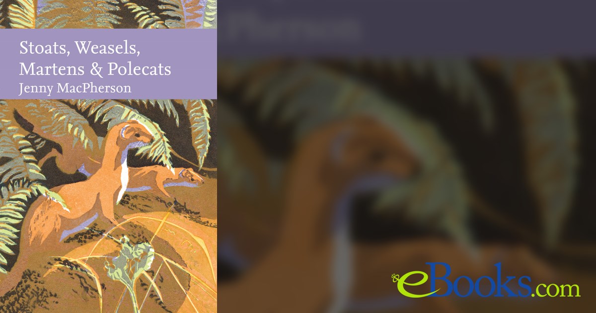 Stoats, Weasels, Martens and Polecats (Collins New Naturalist Library)