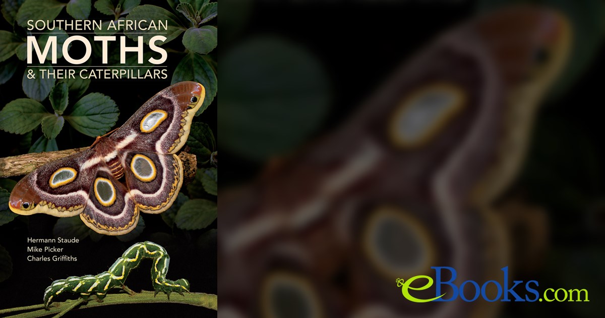 Southern African Moths & their Caterpillars