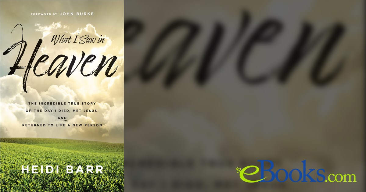 What I Saw in Heaven by Heidi Barr (ebook)