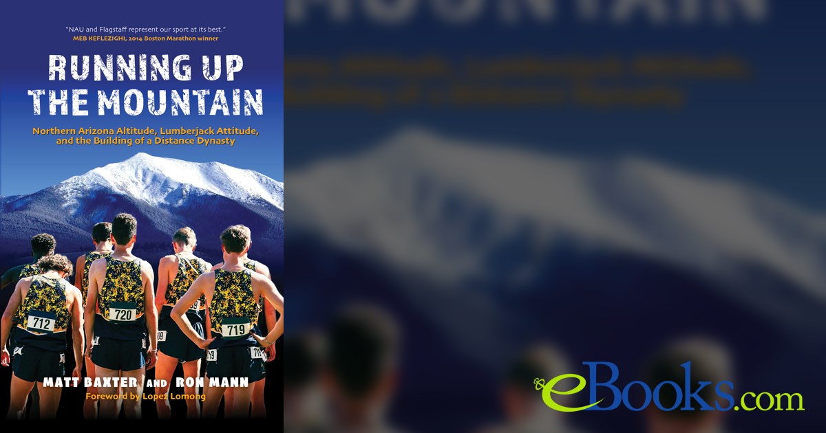 Running Up the Mountain by Matt Baxter (ebook)