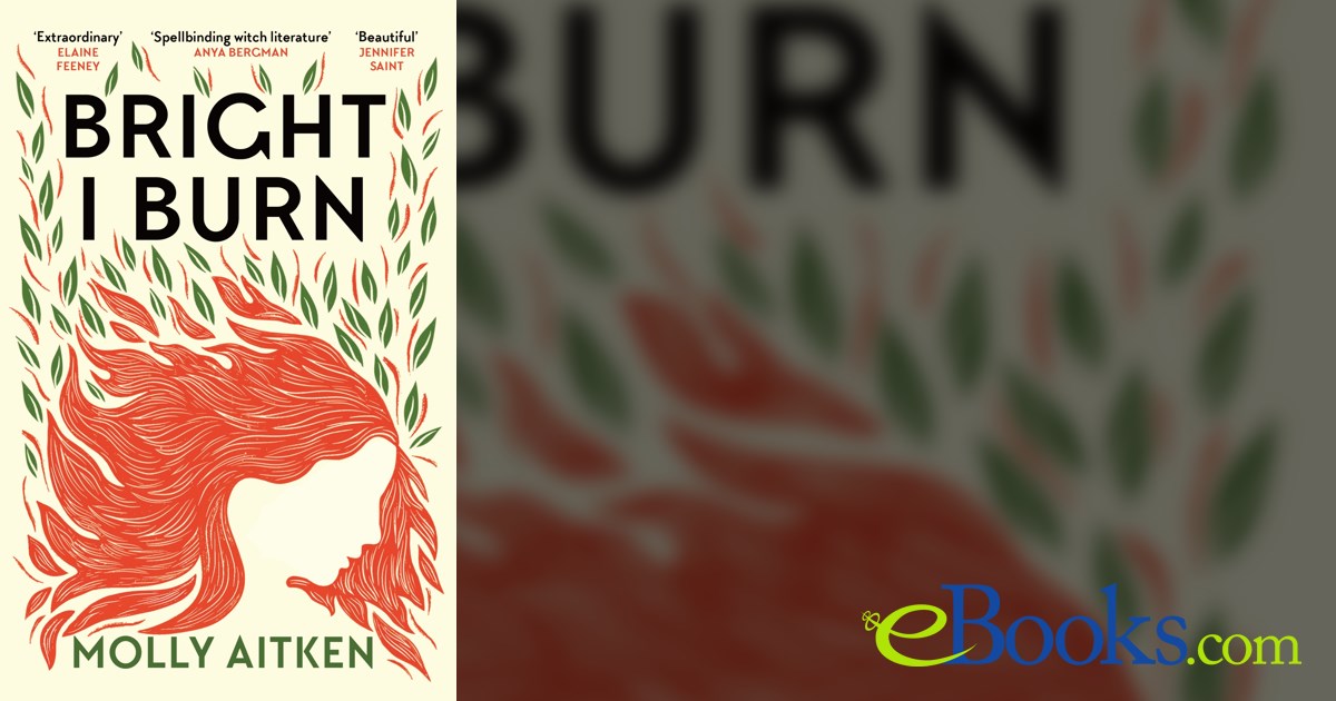 Bright I Burn by Molly Aitken (ebook)