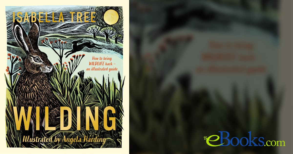 Wilding: How to Bring Wildlife Back - an Illustrated Guide