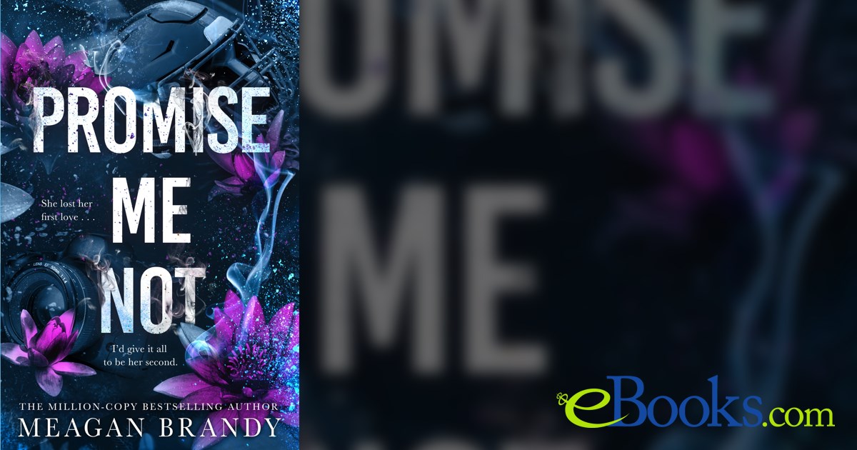 Promise Me Not by Meagan Brandy (ebook)