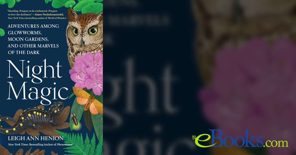 Night Magic by Leigh Ann Henion (ebook)