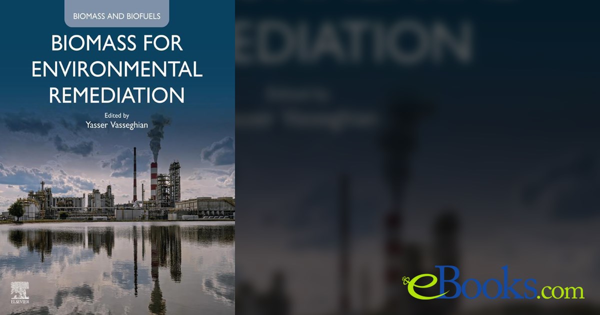 Biomass for Environmental Remediation by Yasser Vasseghian (ebook)
