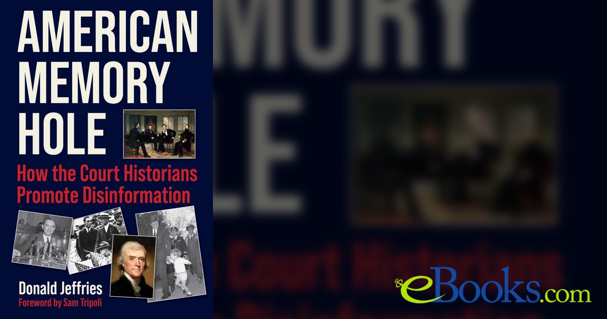 American Memory Hole by Donald Jeffries (ebook)